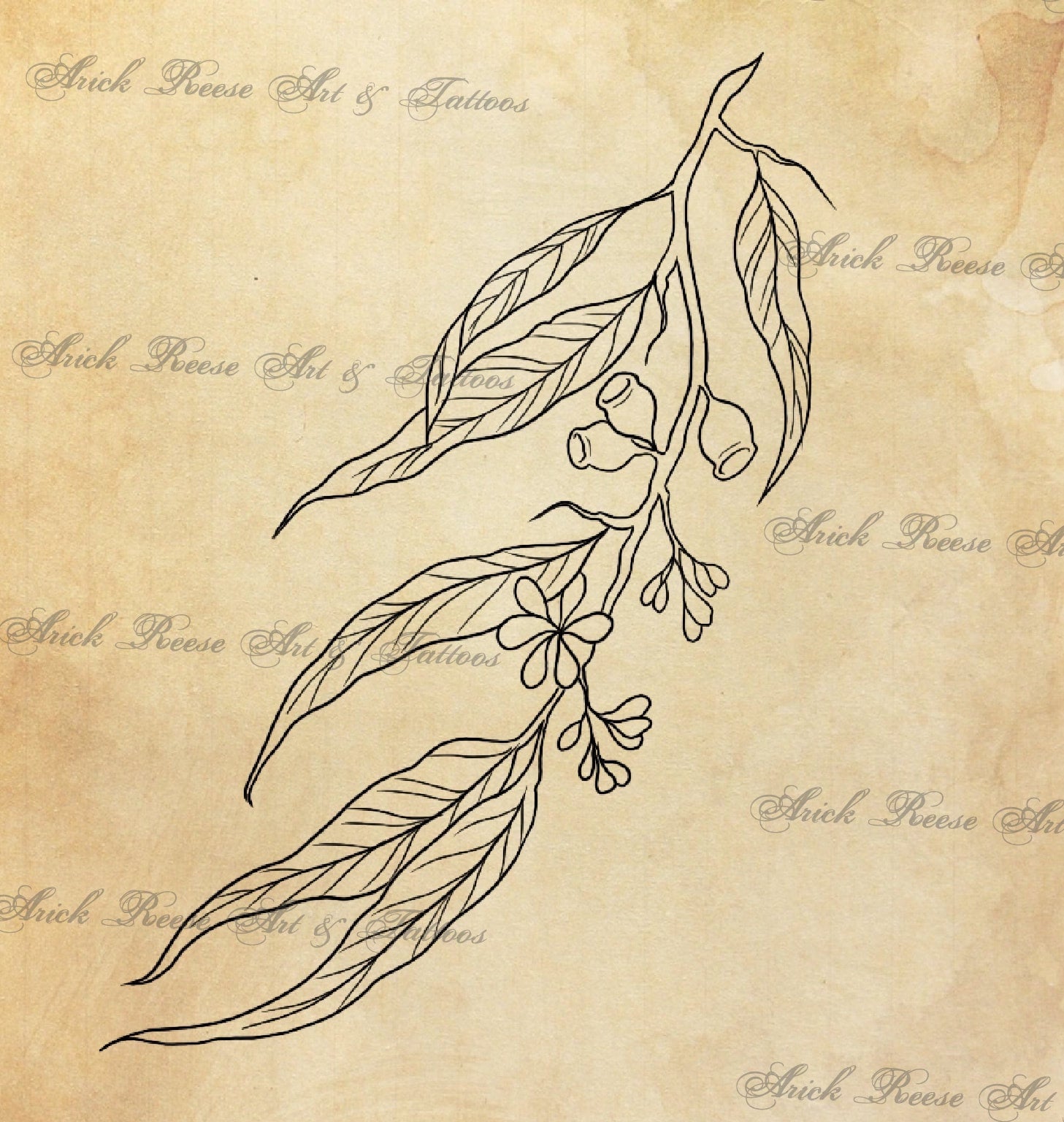 tattoo eucalyptus